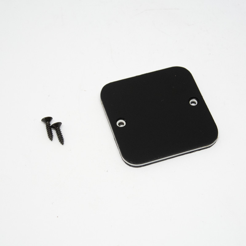 IBANEZ Switch Cavity Plate DT520 (4PT12A0019) | Control Cavity Plates ...